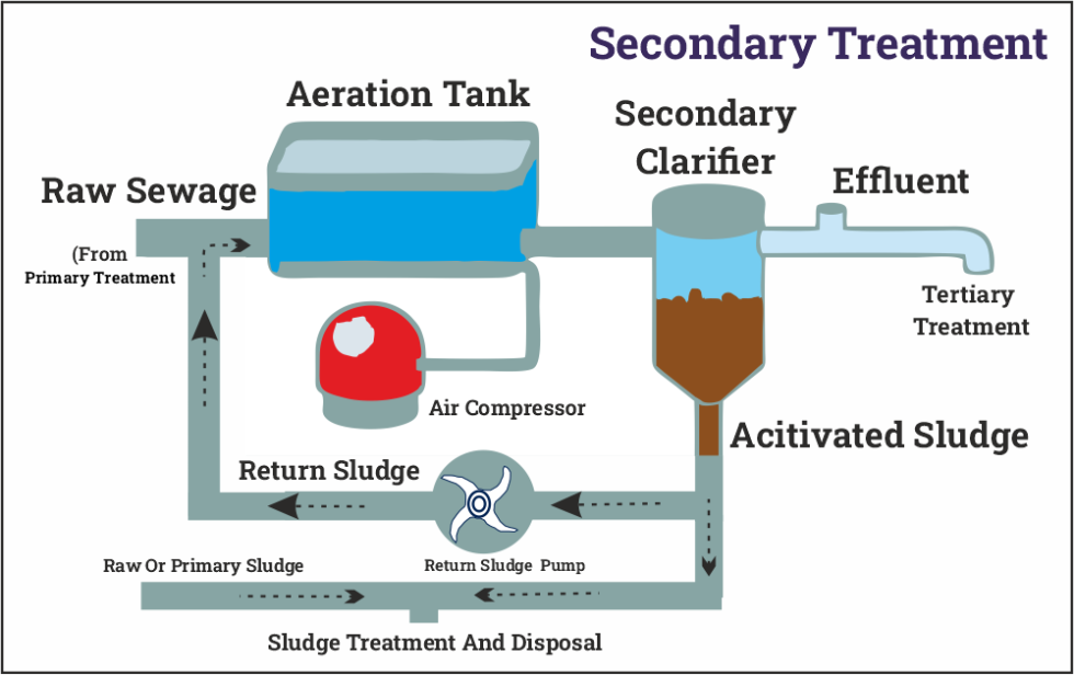 What Is A Sewage Treatment Plant And Its Process